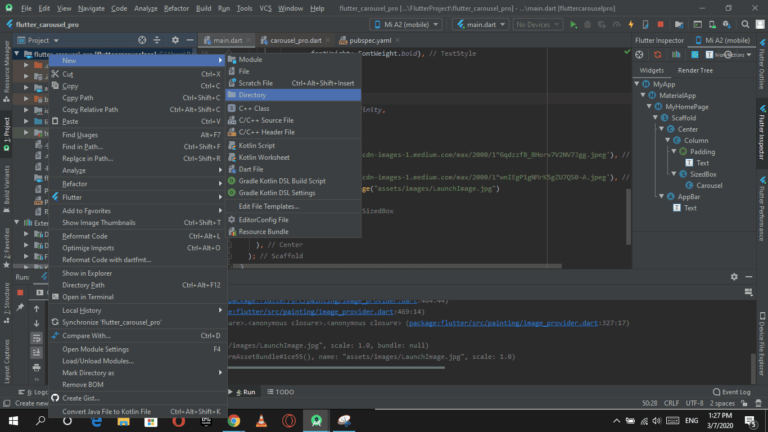 Image slider in flutter using Carousel Pro Flutter Library