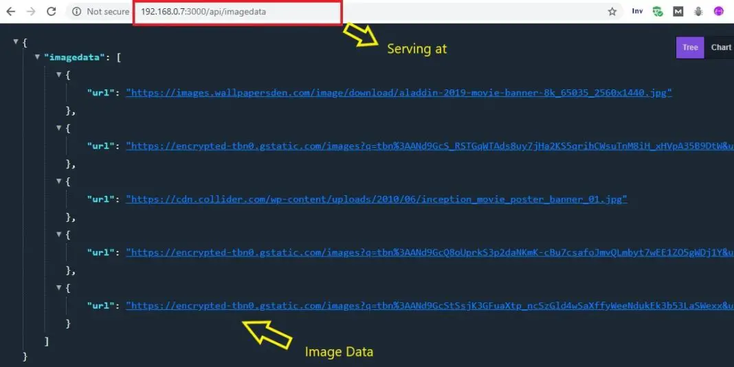 Creating Api Using Deno Js Display Data In Flutter Listview Builder Vrogue