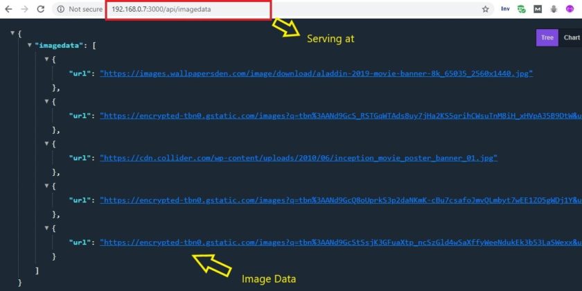 Create Api Using Deno Js And Display Data In Flutter Listview Builder