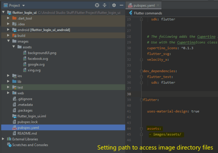 Flutter login register page UI Design ( AdobeXD ) - Using Velocity X ...