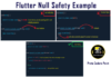 Flutter Null Safety example - handle null exception