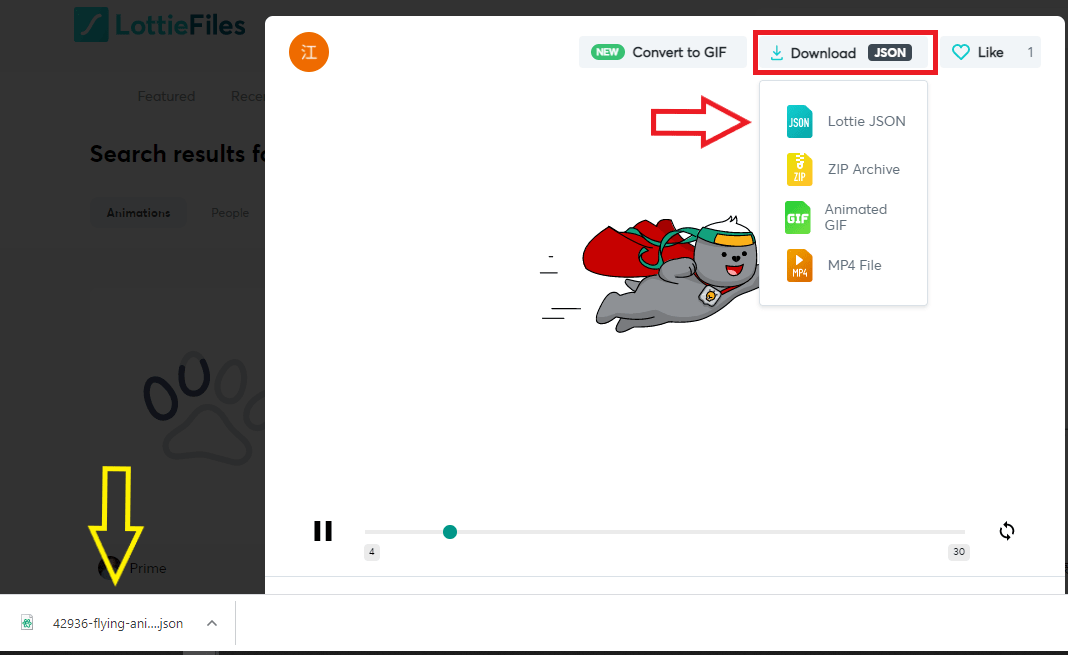 Animation using Flutter Lottie animations
