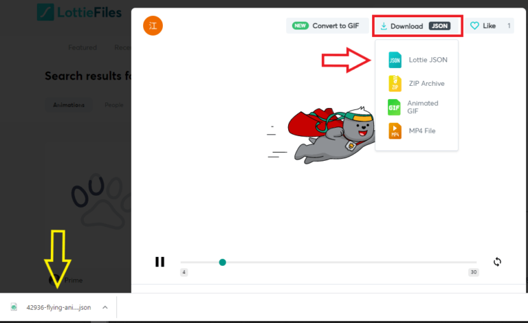 Animation using Flutter Lottie animations
